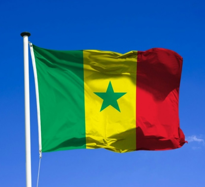 Drapeau officiel du Sénégal orné des couleurs vert, jaune et rouge